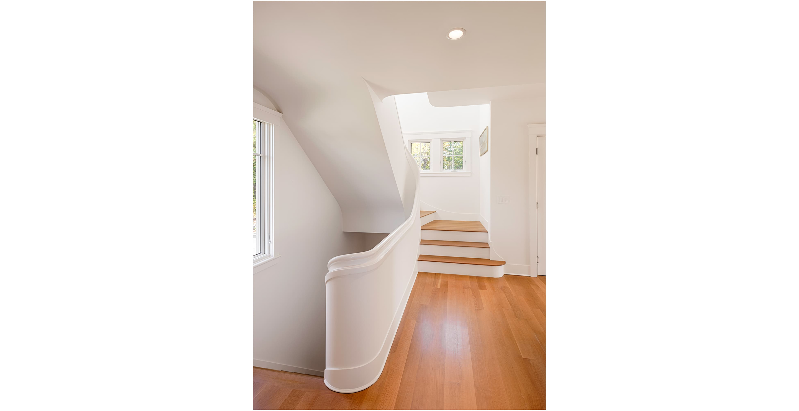 Cole Residence - Scott Brown Architects